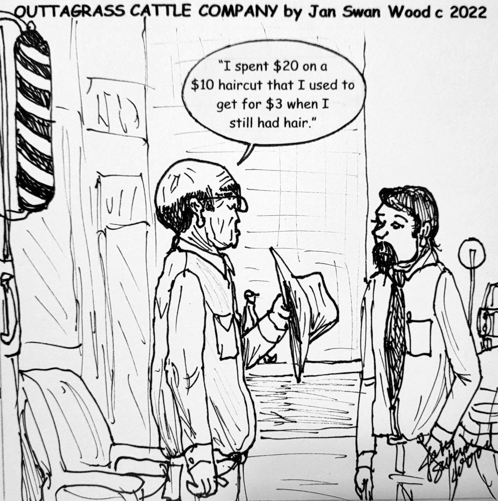 Outtagrass Cattle Co cartoon by Jan Swan Wood | TSLN.com