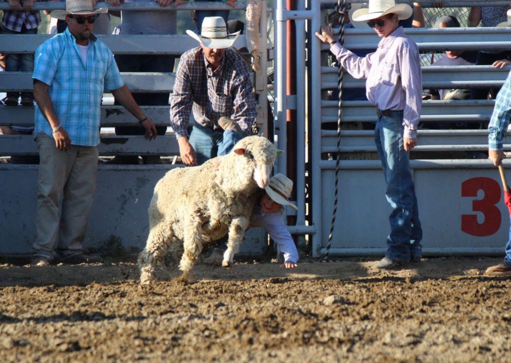 Weston County Mini Roughstock Rodeo | TSLN.com