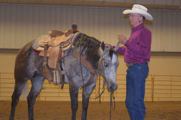 Knowing Horses and Livestock: Ted Howard Stockmanship Seminar Comes to ...
