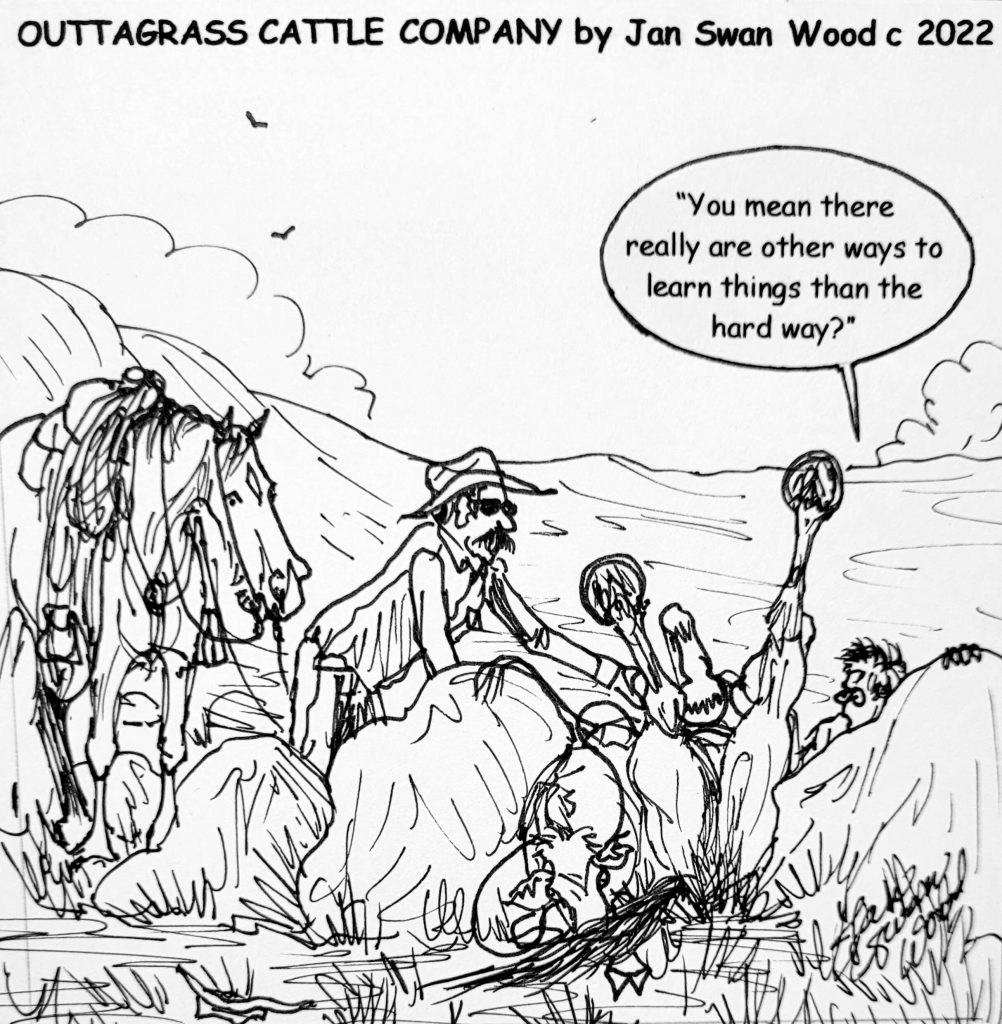 Outtagrass Cattle Co. cartoon by Jan Swan Wood | TSLN.com