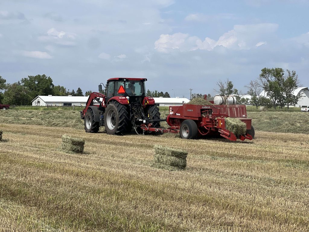 Monitor Moisture Content of Rain-damaged Hay | TSLN.com