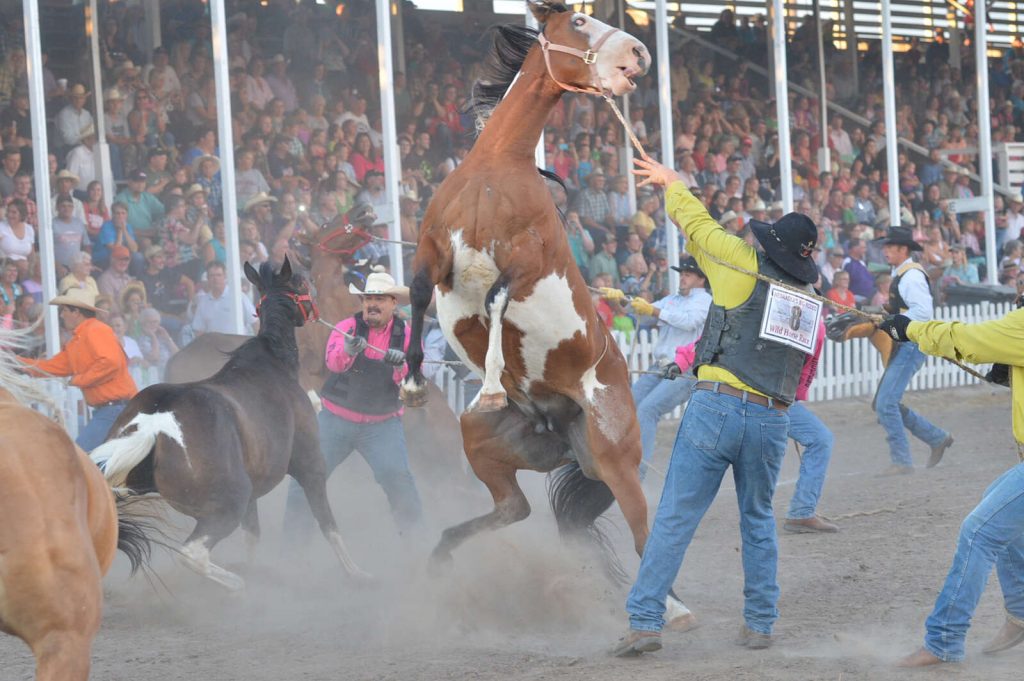Nebraska’s Big Rodeo makes the Pro Rodeo Hall of Fame | TSLN.com