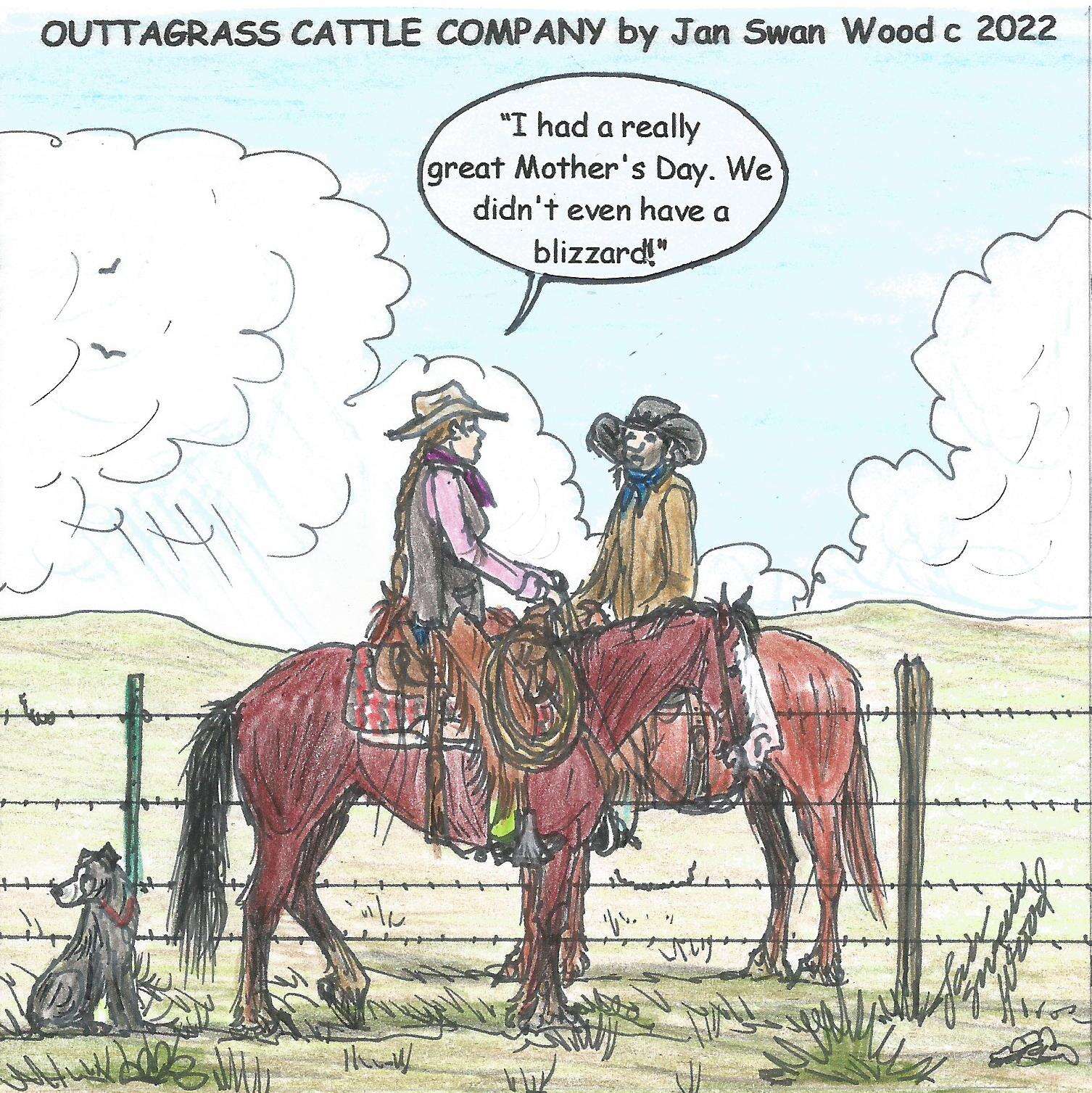 Outtagrass Cattle co. cartoon by Jan Swan Wood | TSLN.com