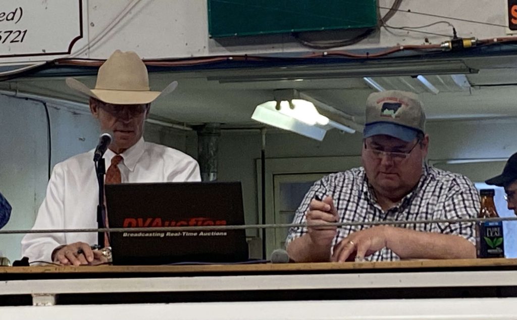 Miske Angus Ranch Annual Production Sale | TSLN.com