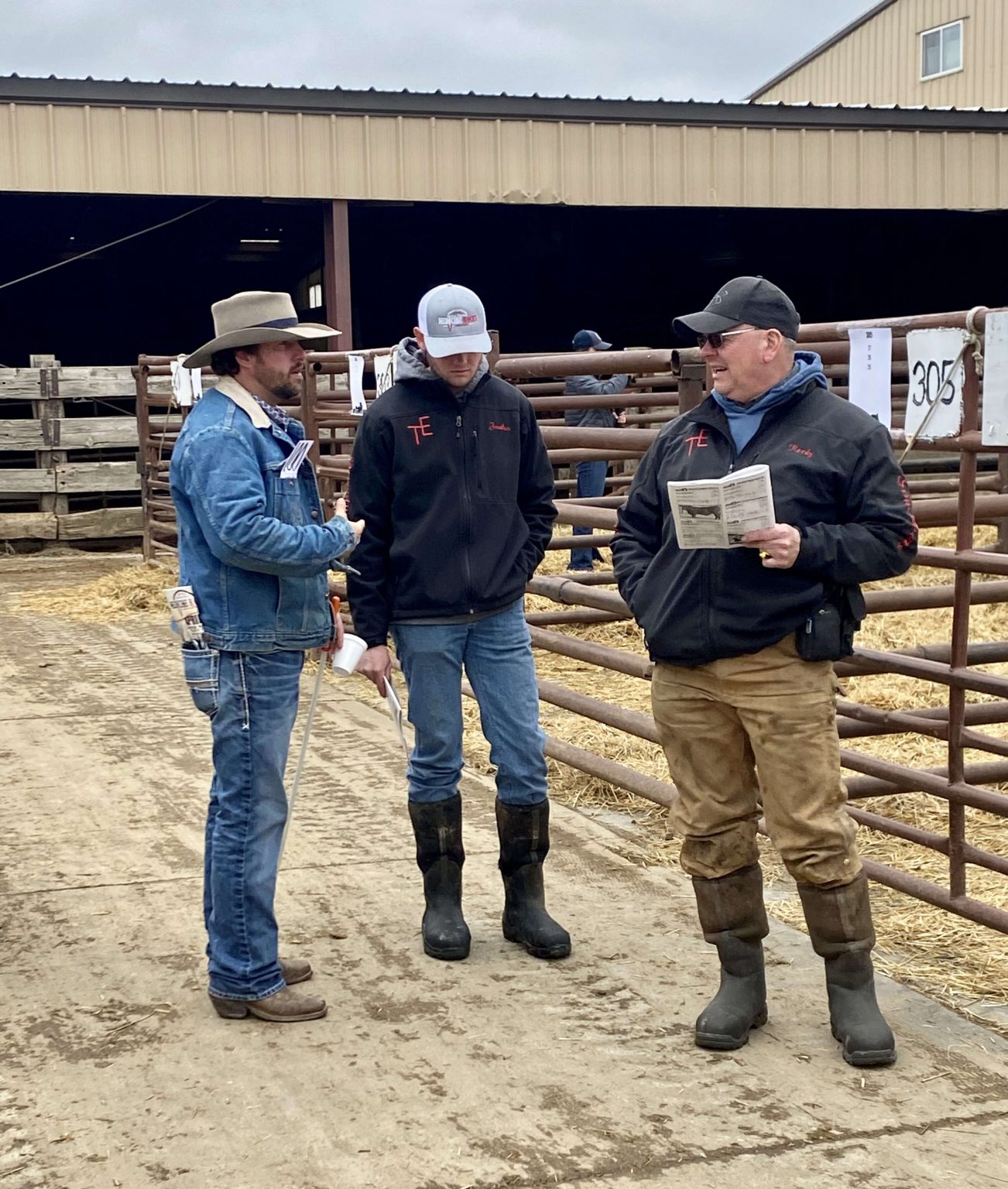 Medicine Rock Angus Annual Bull Sale | TSLN.com