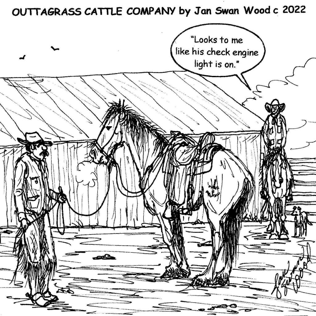 Outtagrass Cattle Co. Cartoon by Jan Swan Wood | TSLN.com