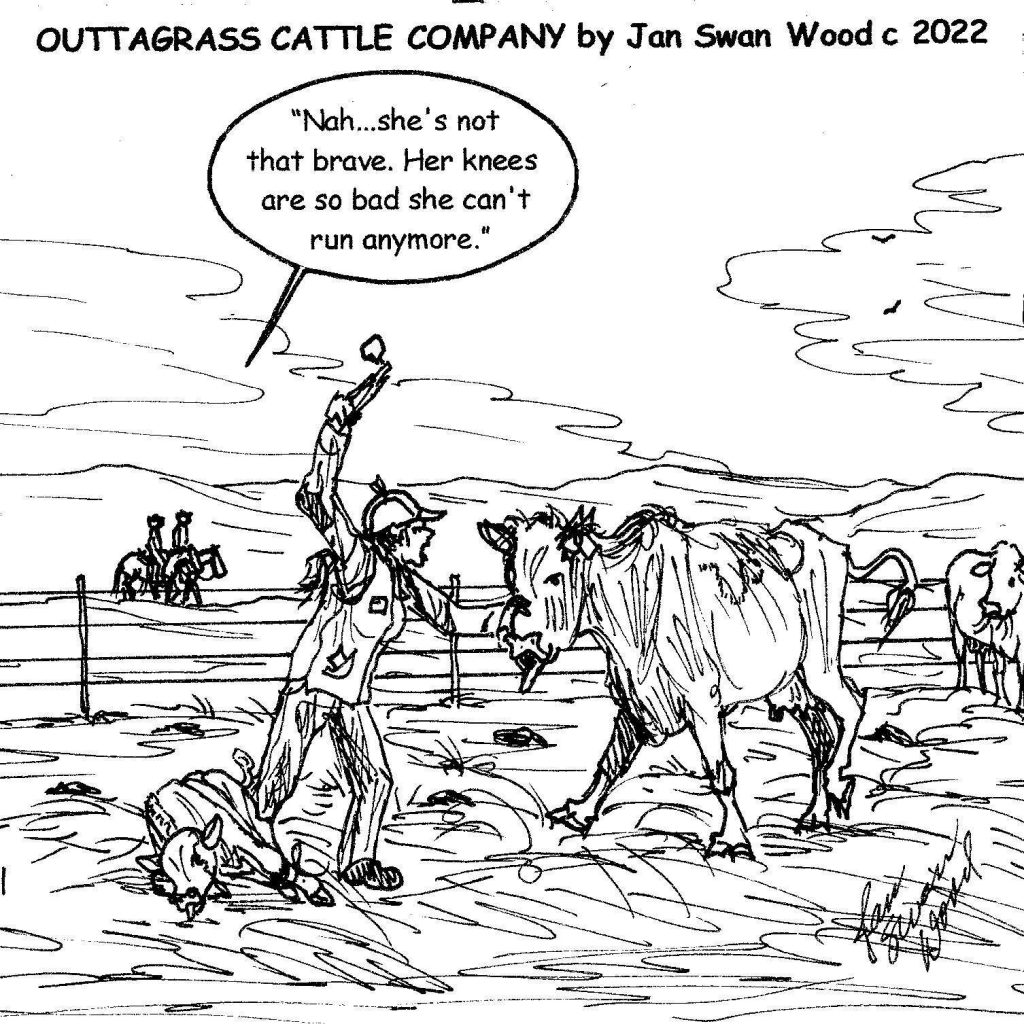 Outtagrass Cattle co. cartoon by Jan Swan Wood | TSLN.com