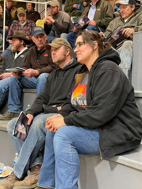 Miller Angus Farms Top Tier Bull and Female Sale | TSLN.com