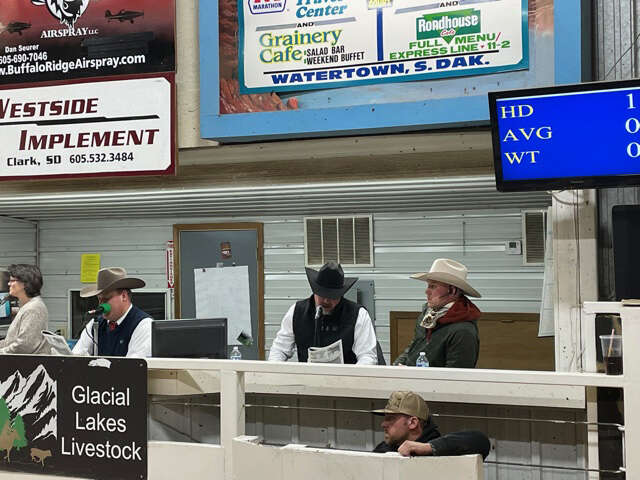 Miller Angus Farms Top Tier Bull and Female Sale | TSLN.com