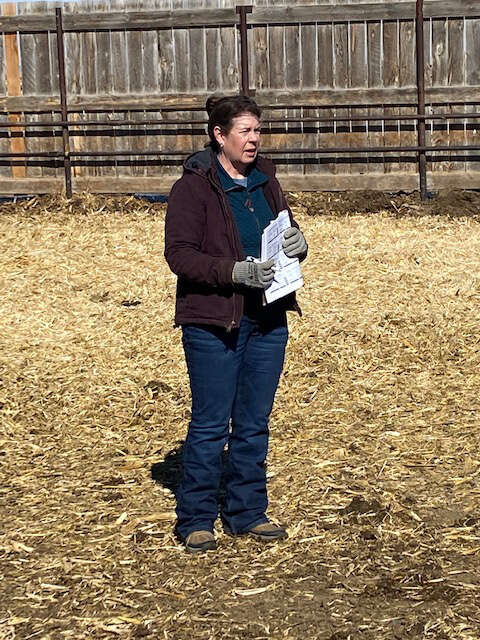 Reyes Russell 31st Annual Angus Bull Sale | TSLN.com