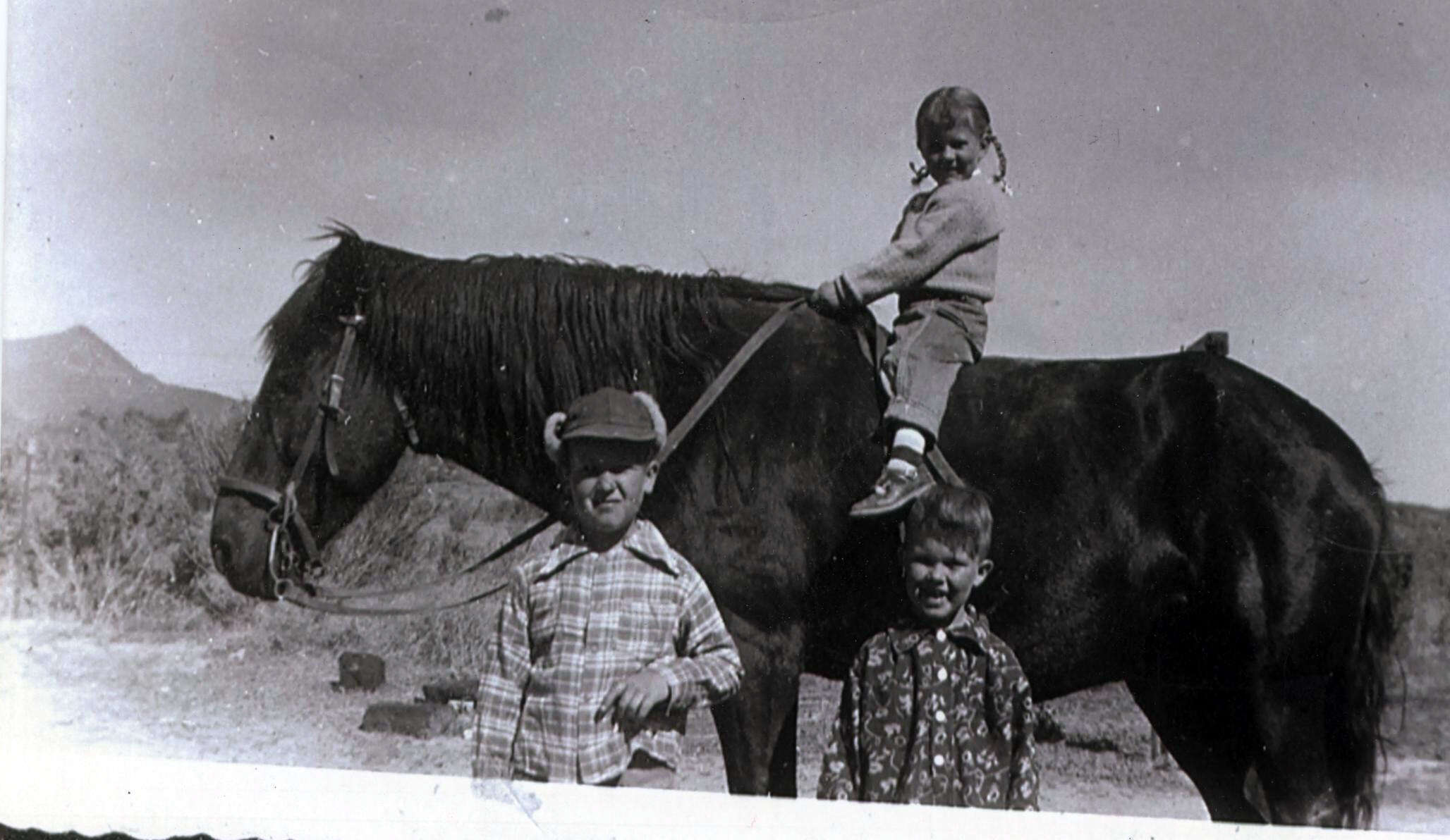 SDQHA Legacy Promoter of the Breed: Dr. John Ismay, DVM | TSLN.com