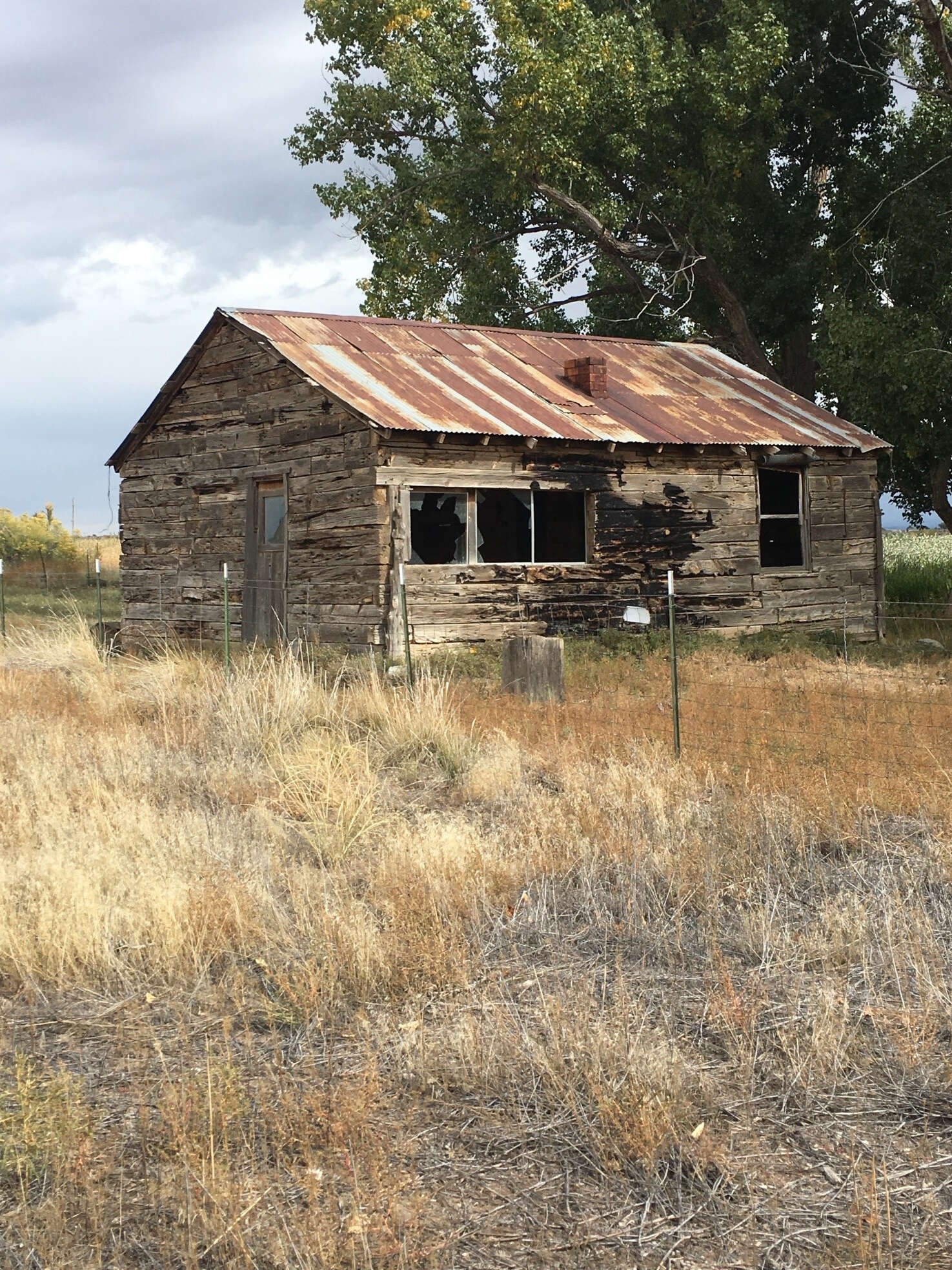 SDQHA Legacy Promoter of the Breed: Dr. John Ismay, DVM | TSLN.com