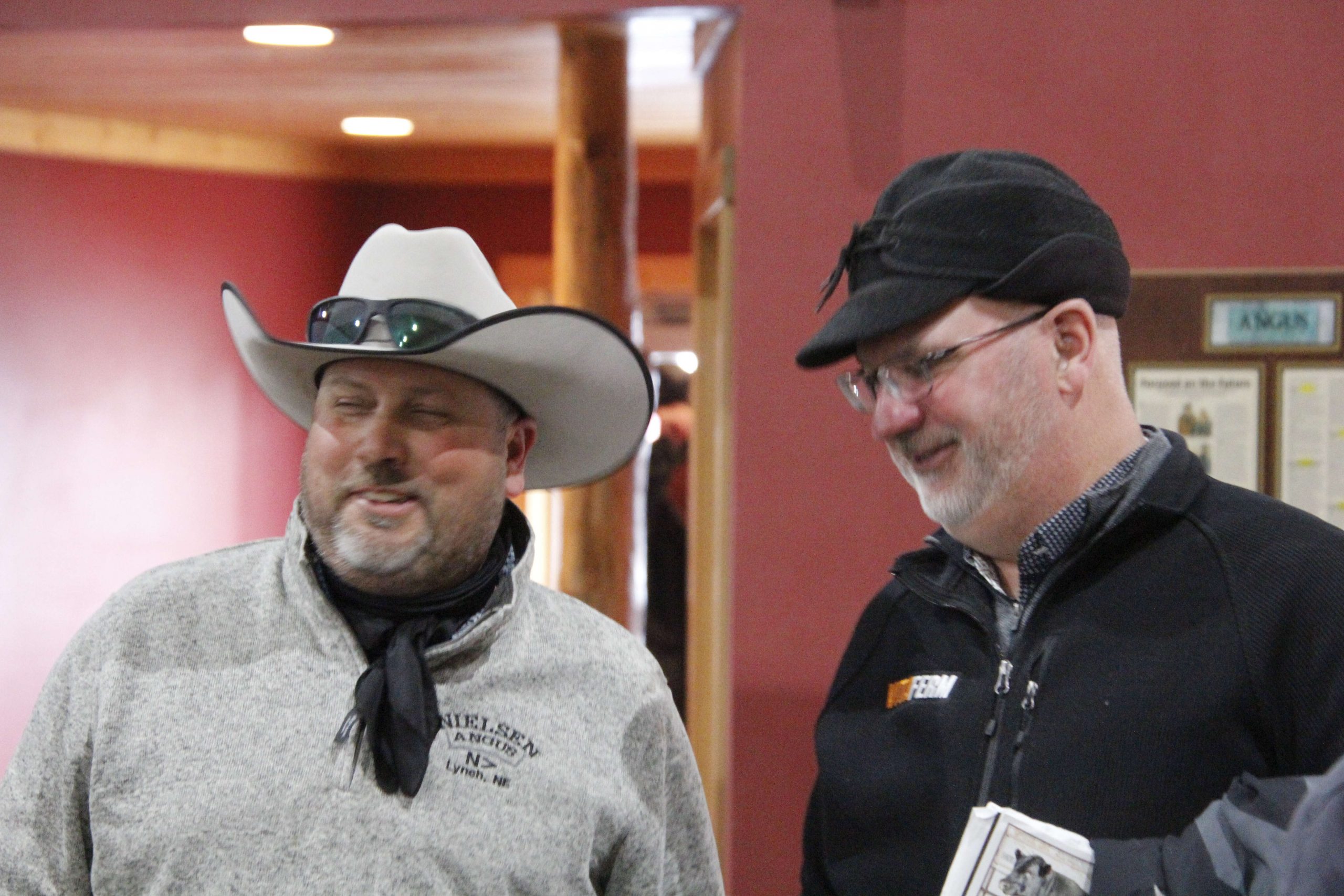 Millar Angus Bull Sale | TSLN.com