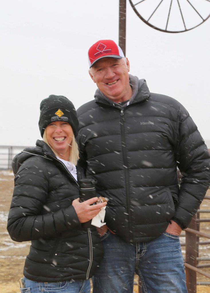 Millar Angus Bull Sale | TSLN.com