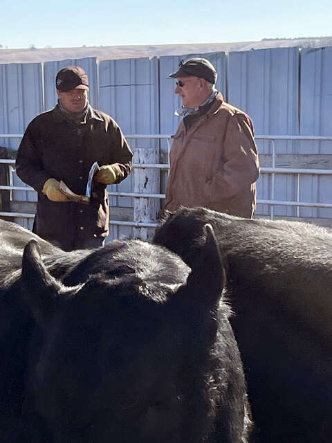 Koupal Angus annual Bull Sale | TSLN.com