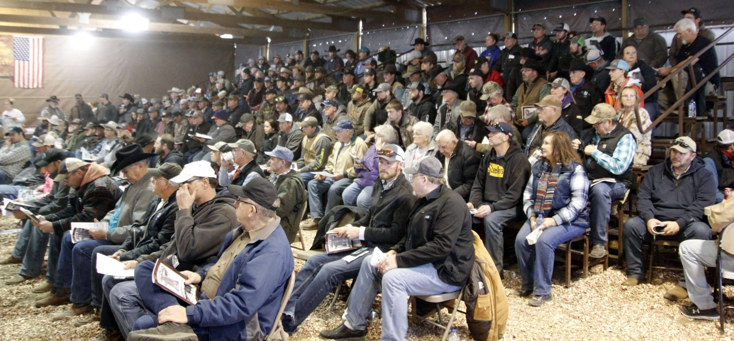 Petersek’s Raven Angus Bull Sale | TSLN.com