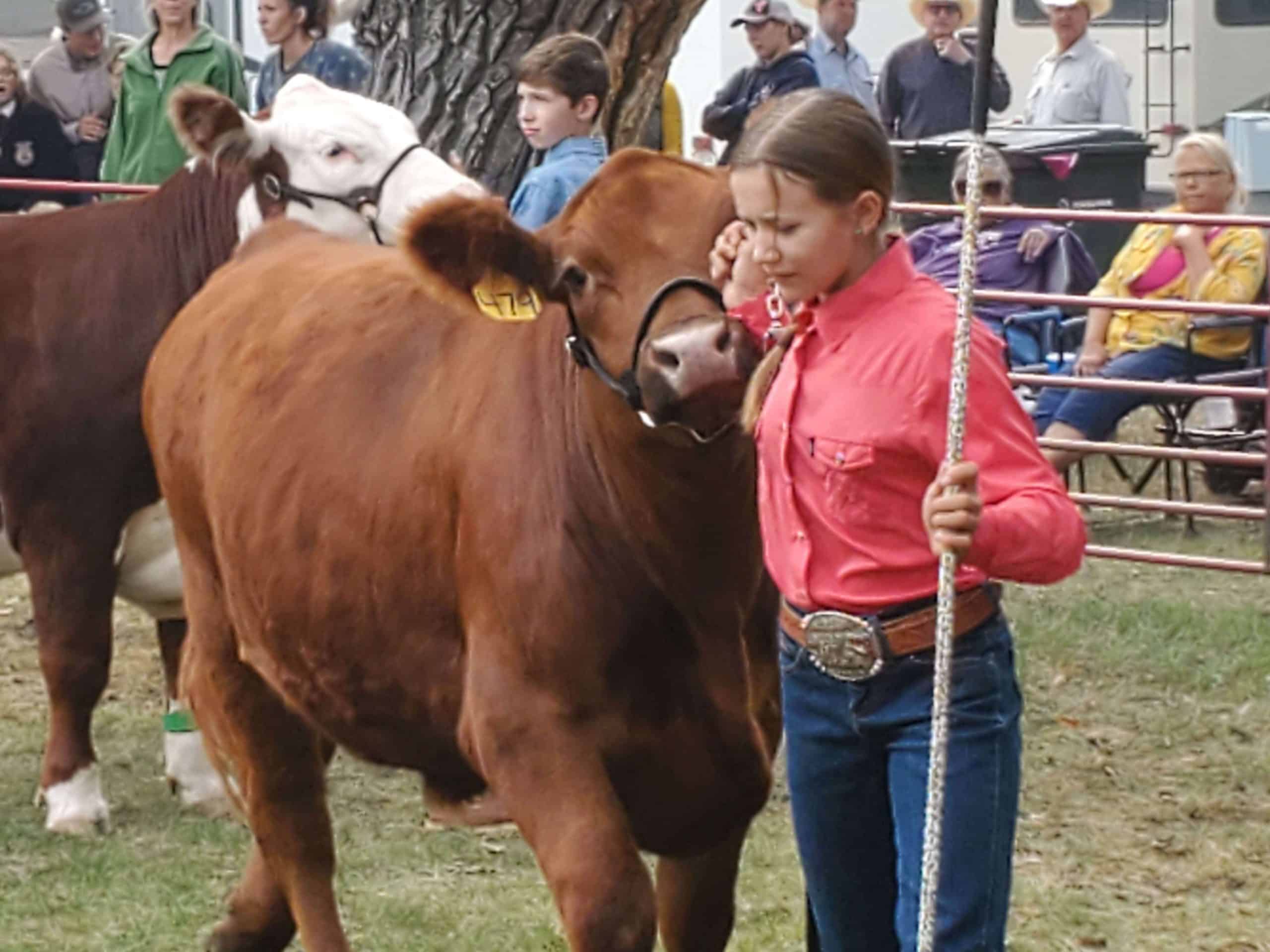 Passion for horses and agriculture: Piedmont cowgirl wins Lloyd W ...