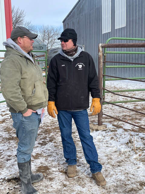 Soreide Charolais Bull Power Production Sale | TSLN.com