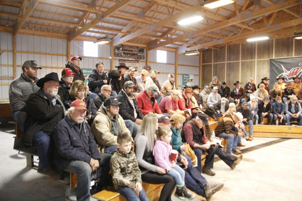 Joseph Angus 24th Annual Bull Sale | TSLN.com
