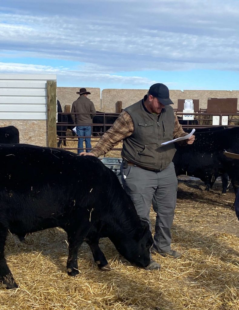 Ken Haas Angus “Right Combination Bull Sale” | TSLN.com
