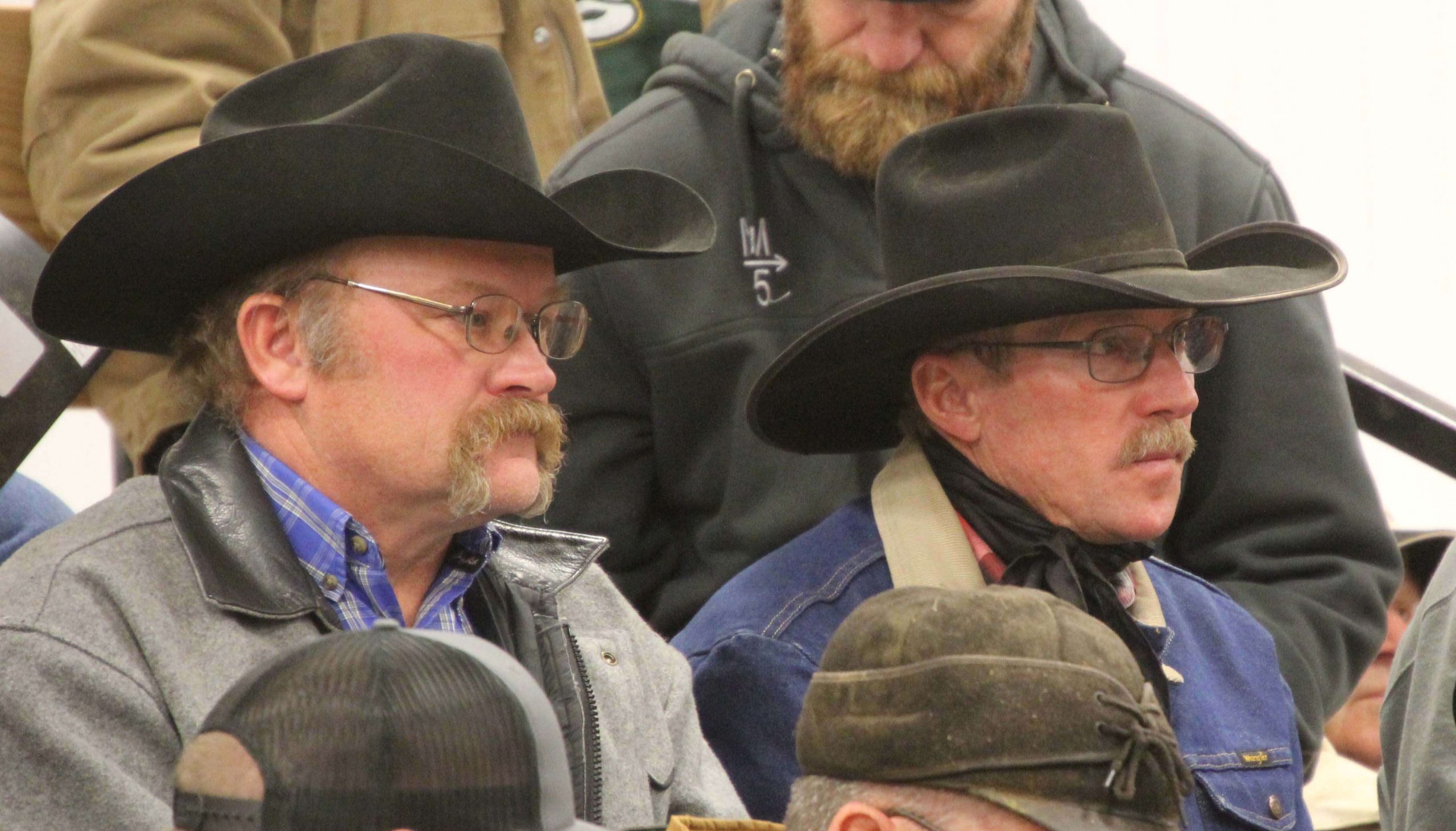 Richard Angus Annual Production Sale | TSLN.com