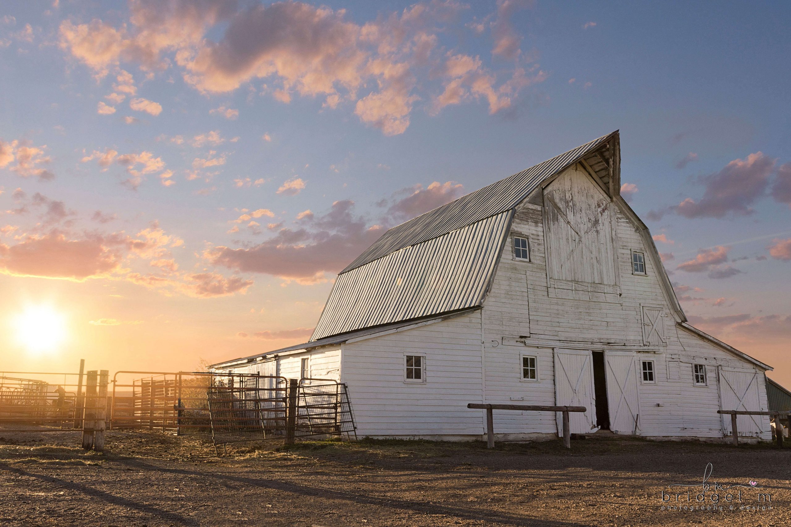 Ranch horses, ranch raised: Lauing family, Blunt, South Dakota | TSLN.com