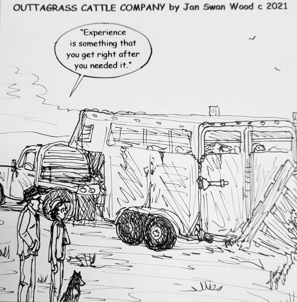 Outtagrass Cattle Co. cartoon by Jan Swan Wood | TSLN.com