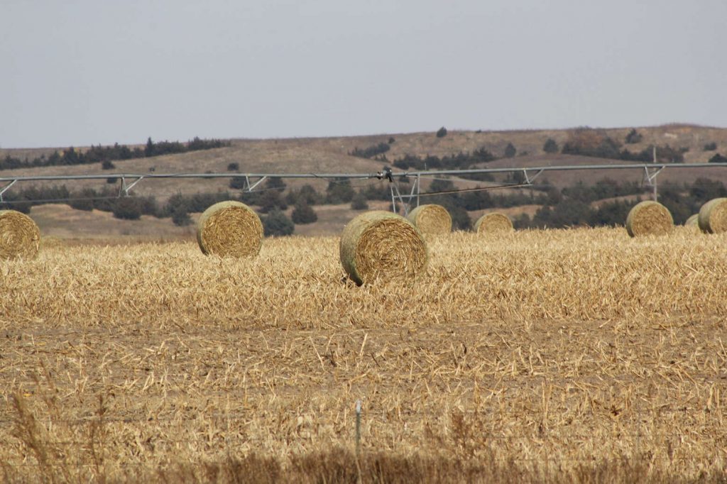 Valuing Corn Stalk Bales | TSLN.com