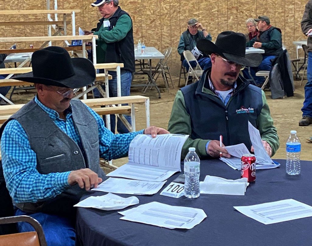 Stevensons’ Diamond Dot Angus ‘A History of Excellence With A Vision ...