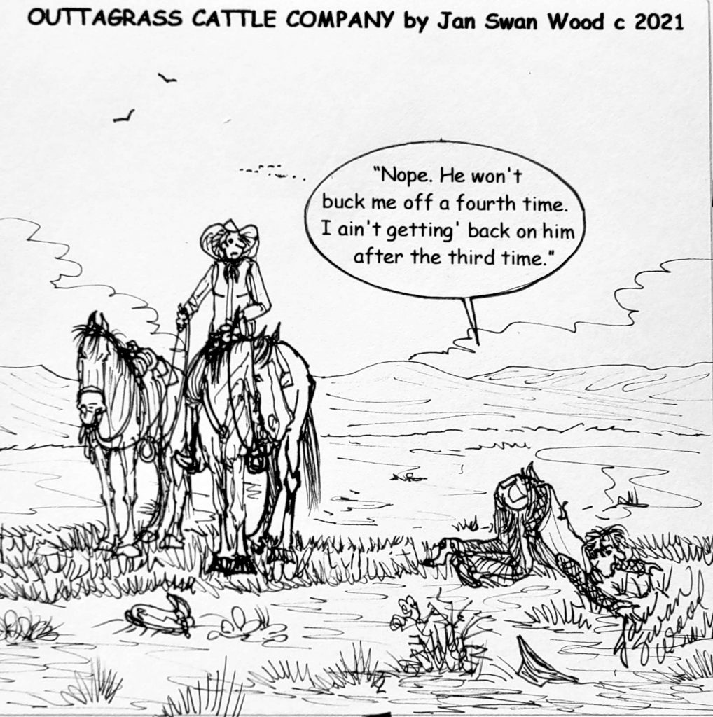 Outtagrass Cattle Co. cartoon by Jan Swan Wood | TSLN.com