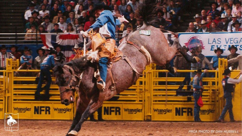 NFR saddle bronc rider Craig Latham passes away | TSLN.com