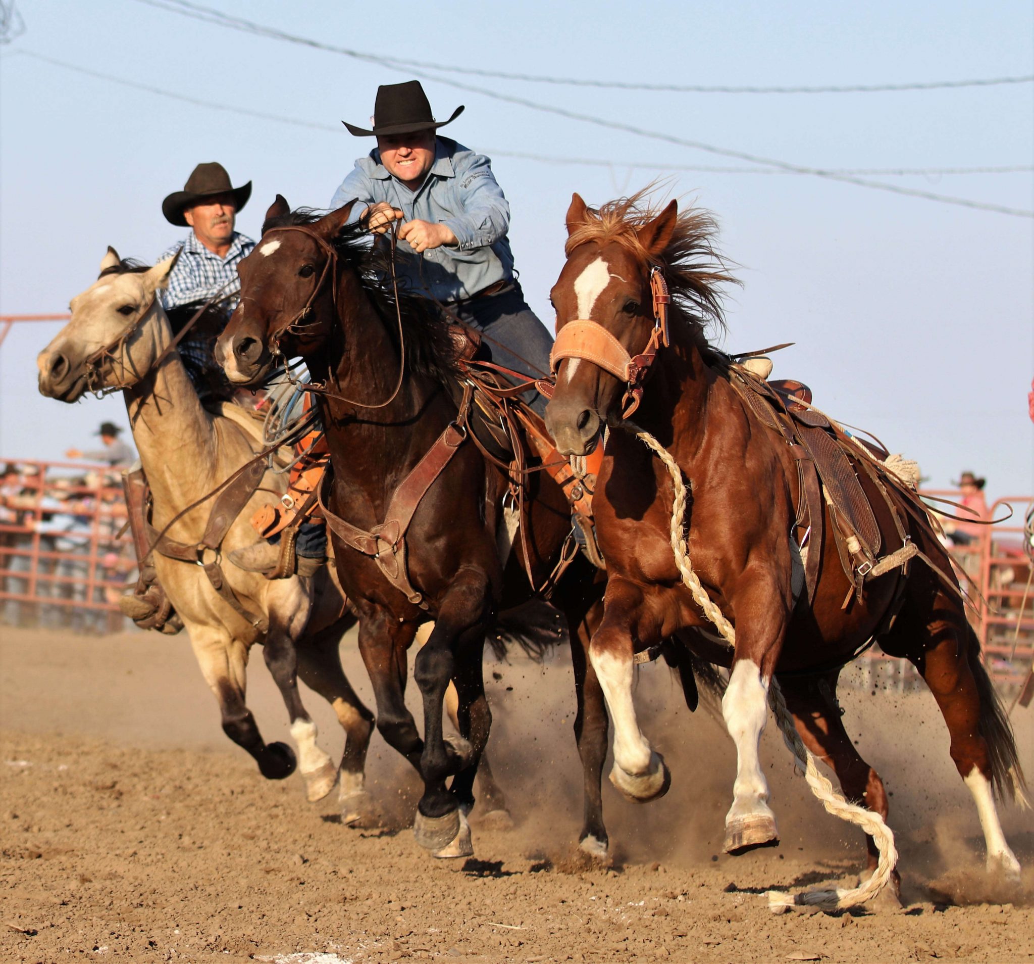 Montana: Steppler Ranch wins ranch rodeo circuit finals | TSLN.com
