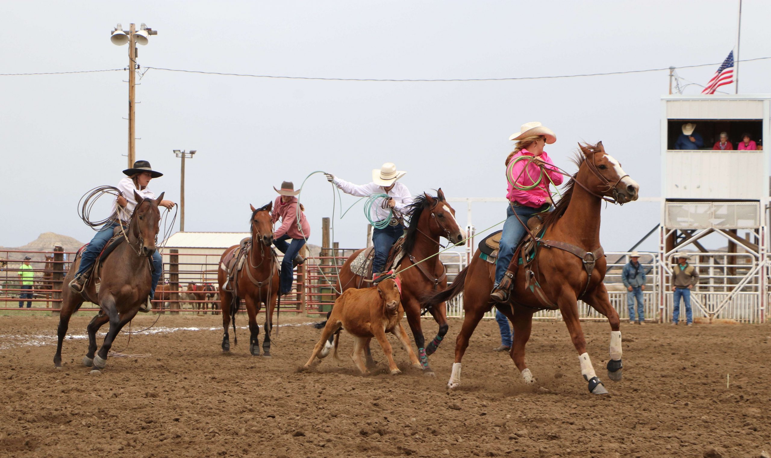 Montana: Steppler Ranch wins ranch rodeo circuit finals | TSLN.com