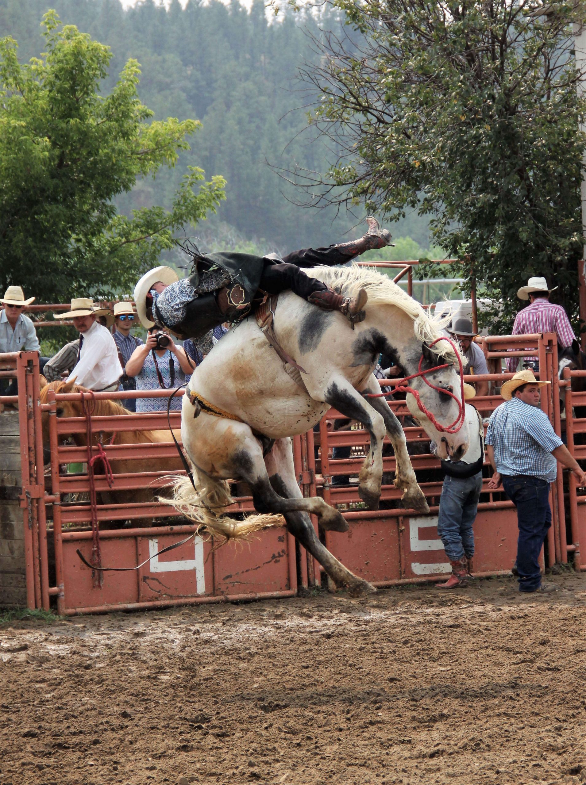 Ride A Horse Feed A Cowboy: Aug. 20-21, Hulett | TSLN.com