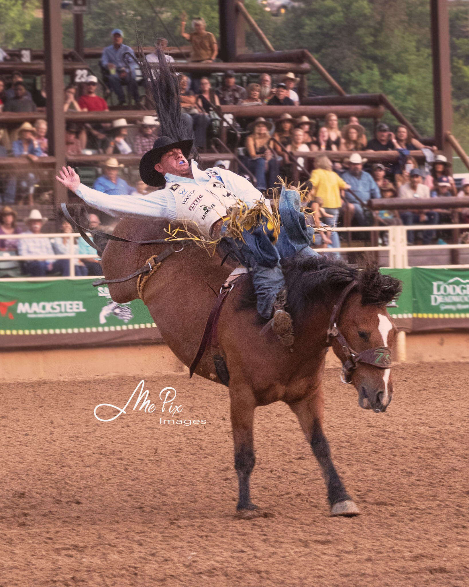 Results: Days Of 76 Rodeo | TSLN.com