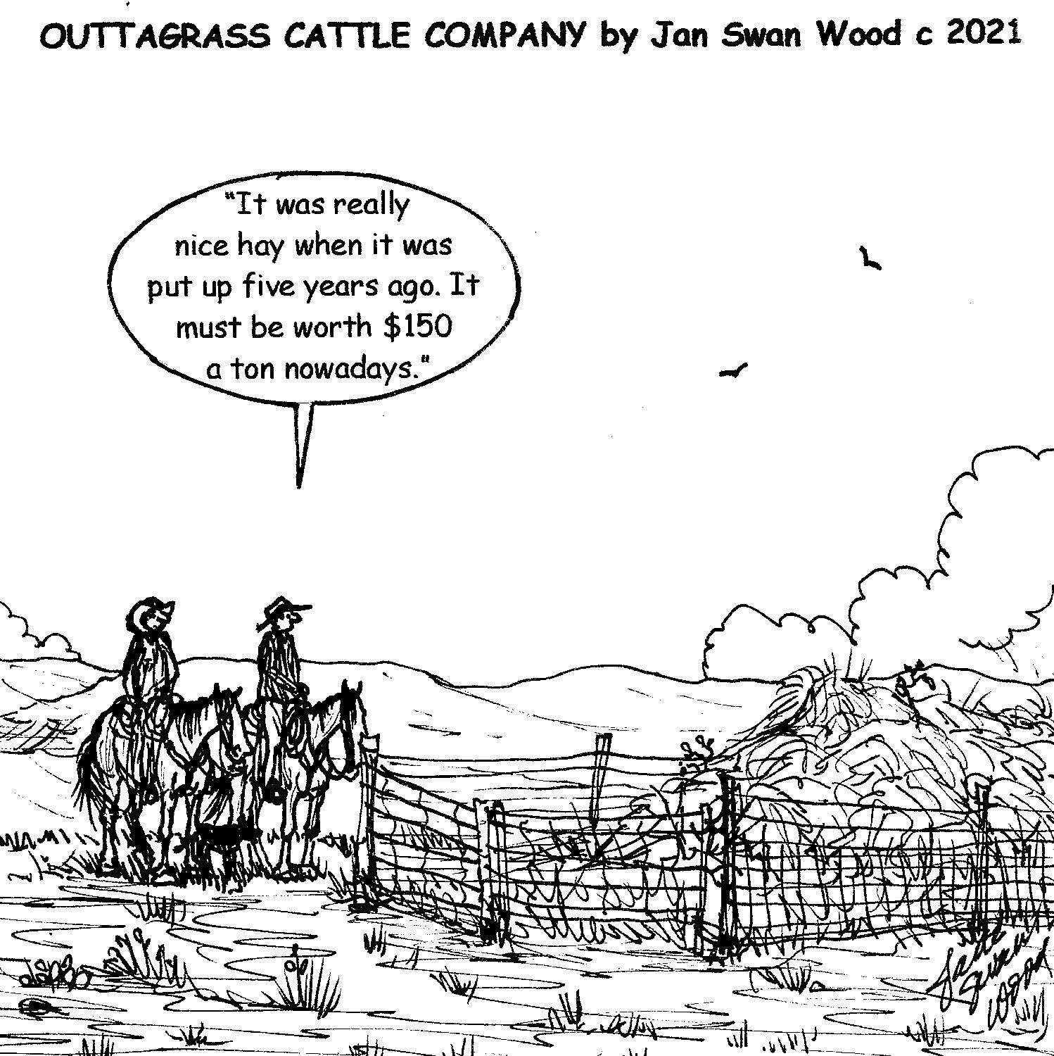 Outtagrass Cattle Co. cartoon by Jan Swan Wood | TSLN.com