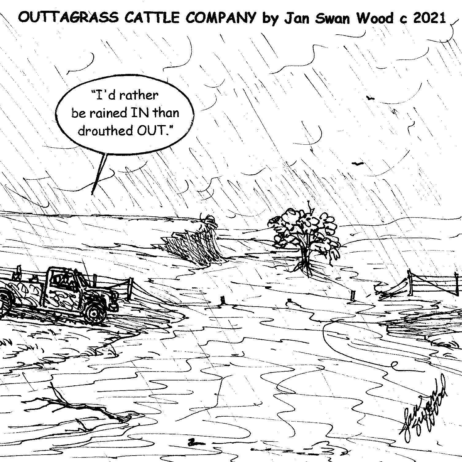Outtagrass Cattle Co. cartoon by Jan Swan Wood | TSLN.com