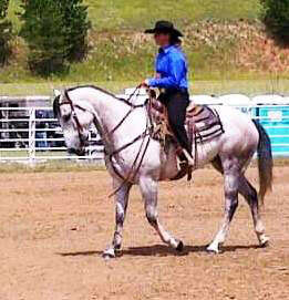 Fordyce Ranching Legacy | TSLN.com