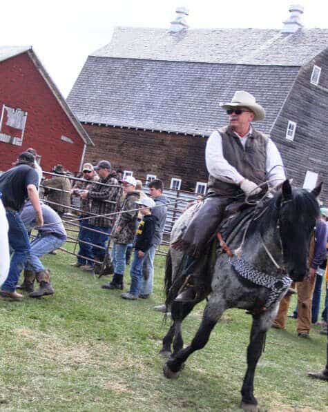 Fordyce Ranching Legacy | TSLN.com