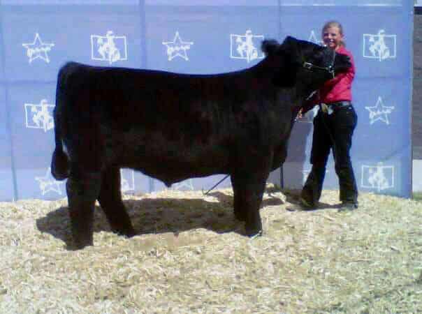 Fordyce Ranching Legacy | TSLN.com