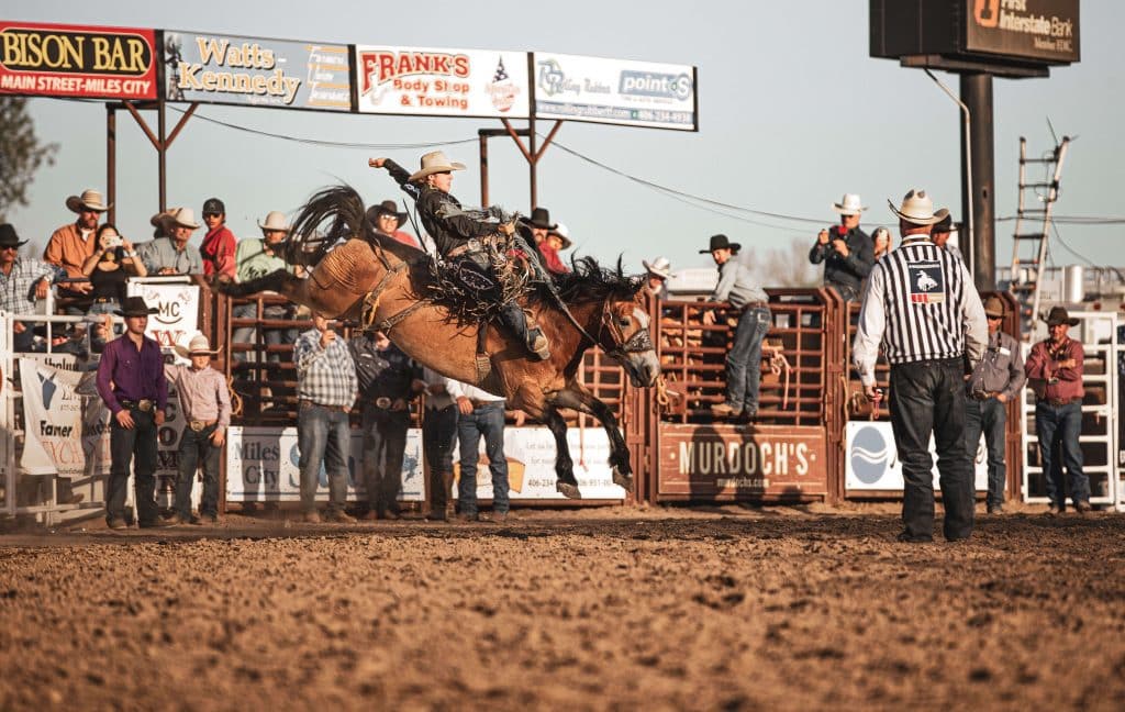 Miles City Bucking Horse Sale Matched Extreme Bronc Ride | TSLN.com