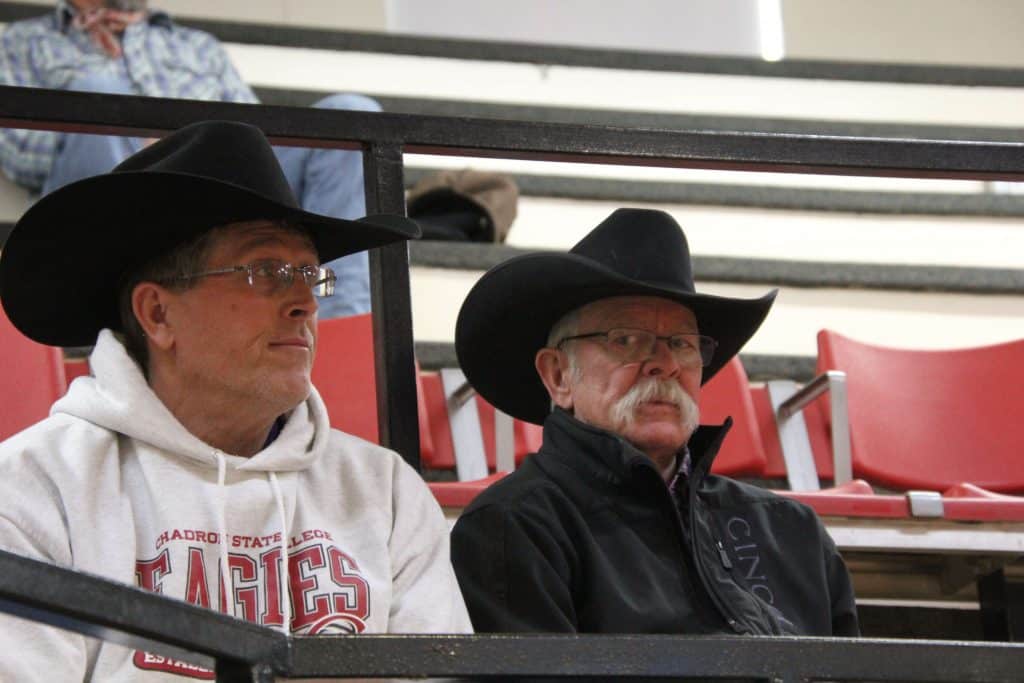 Red Western Red Angus Bull Sale | TSLN.com