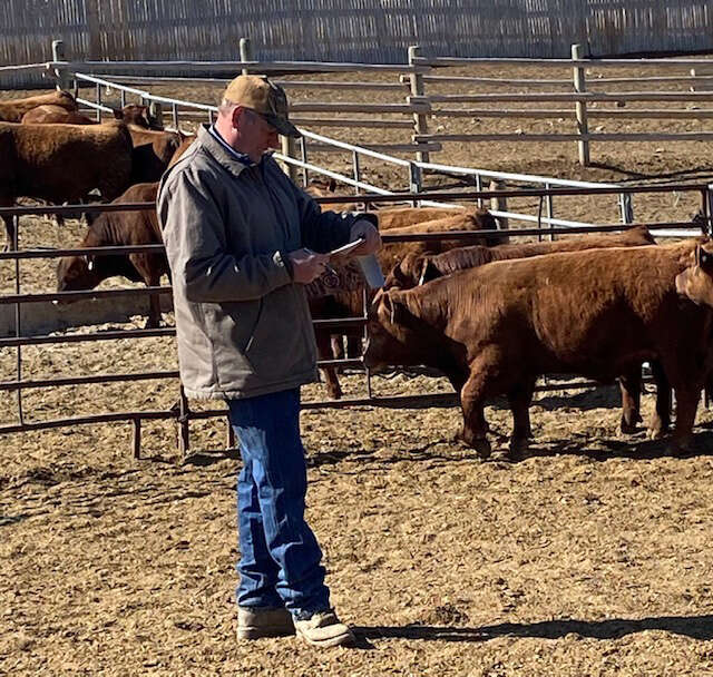 5L Red Angus Annual ‘Profit $eeker’ Spring Sale | TSLN.com