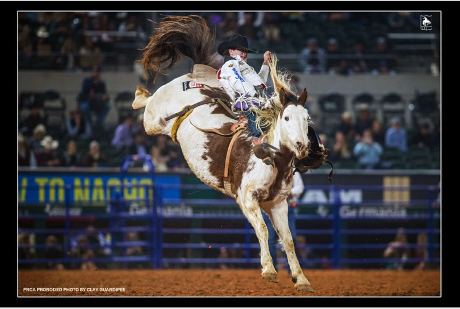 Bareback rider Cole Reiner ready for RAM NCFR debut | TSLN.com
