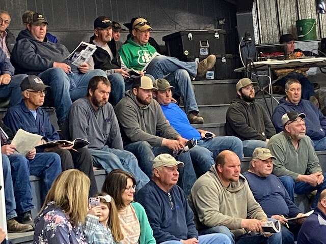 Miller Angus Top Tier Herd Bull Sale | TSLN.com