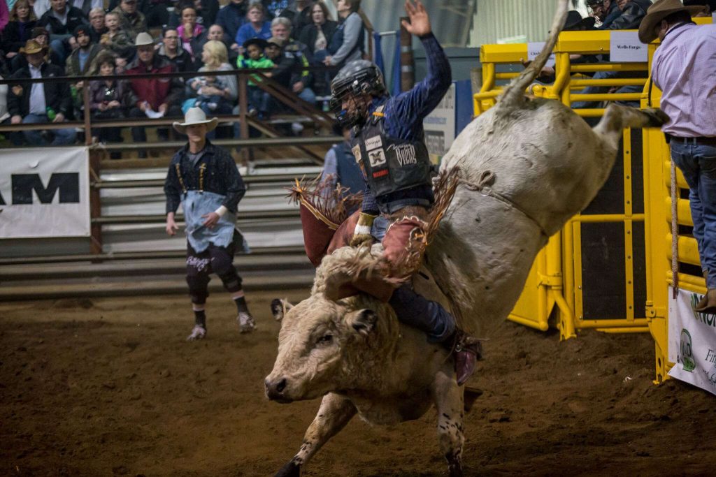 RODEO CENTRAL: Rodeos a fixture at the N.D. Winter Show in Valley City ...