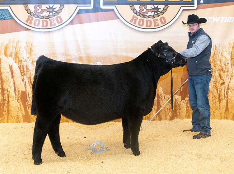 BHSS Angus Sale and Show | TSLN.com