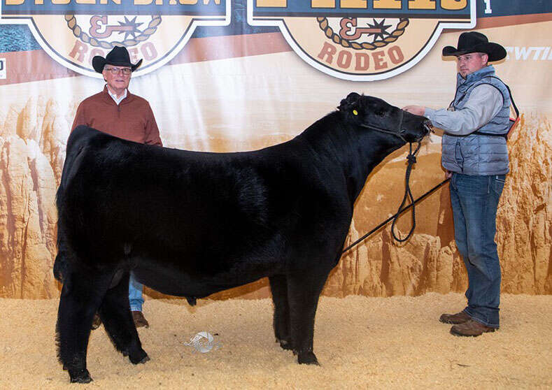 BHSS Angus Sale and Show | TSLN.com