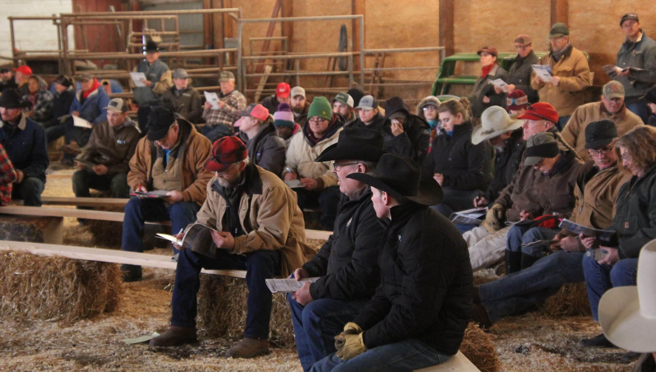 Ingalls Centennial Angus and Turtle Creek Angus Bull Sale | TSLN.com