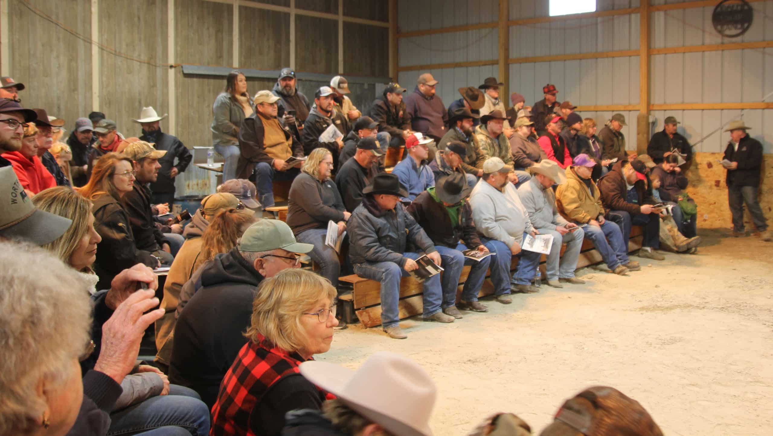 Joseph Angus 23rd Annual Bull Sale | TSLN.com